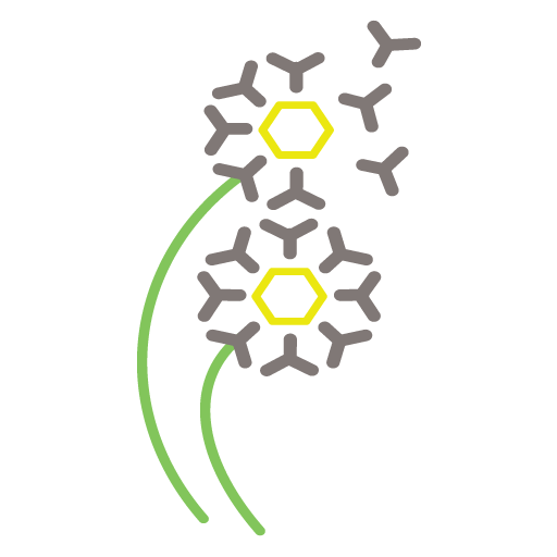 Understanding the Inhalant Allergy Test Process